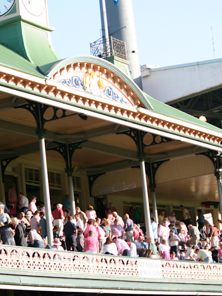 Watching cricket matches from the VIP Box: 6 perks