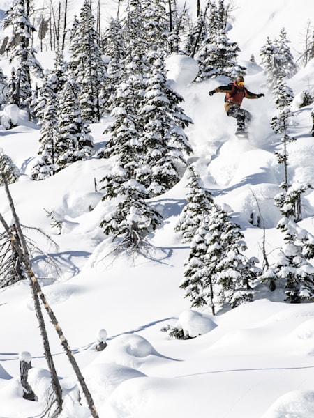 Snowboarding: Travis Rice Natural Selection Tour – info