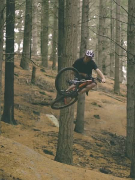 Tim Pierce: Ode to the Bicycle