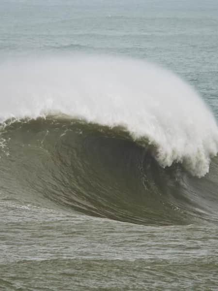 This And Nothing Else: Hugo Vau