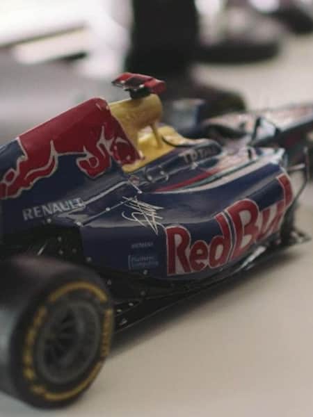 Paul Bischof's Infiniti Red Bull Racing story