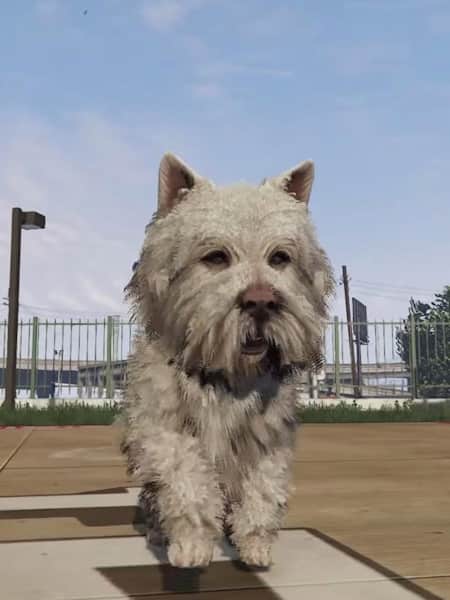 Grand Theft Auto Dog GRAND THEFT AUTO 5 V GTA GROUP Custom Dog Tag