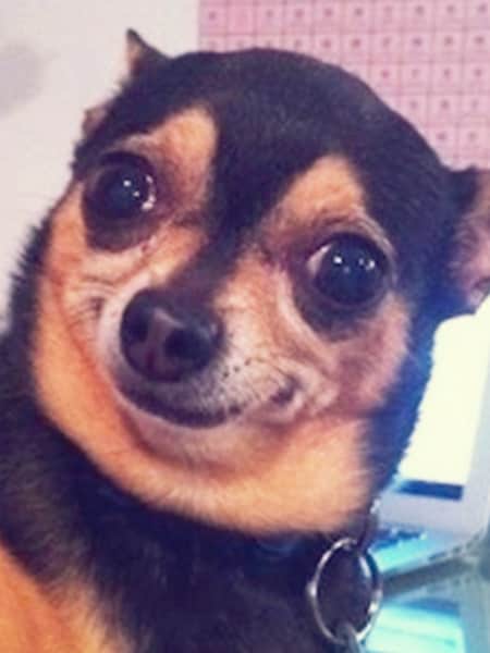 Os 10 melhores menes da internet | Red Bull