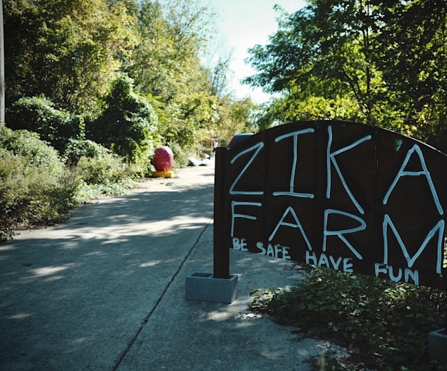 baltimore-2020-zika-farm-interview