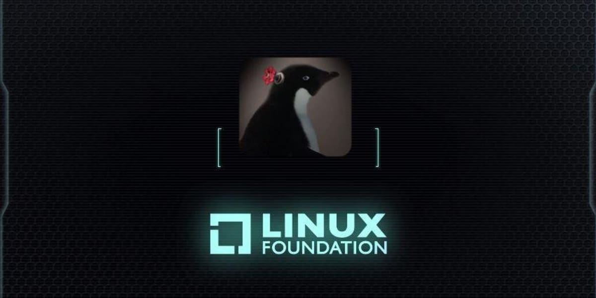 Valve se da la mano con Linux. ¿Qué planes tienen?