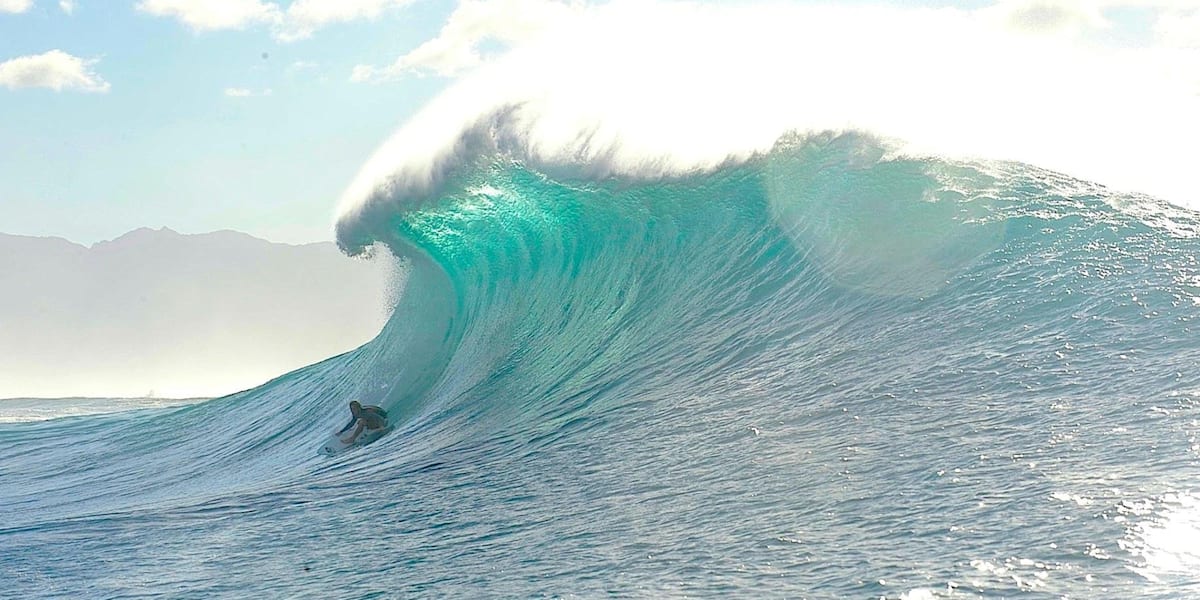 Surfe: o circuito está de volta, e cheio de novidades