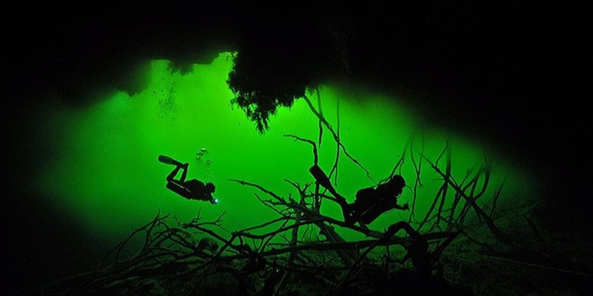 Fotos de buceo de cenotes en México