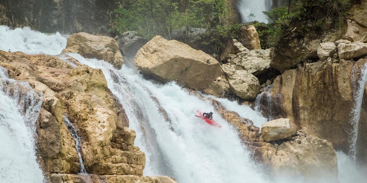 Estas imágenes muestran la pododermatitis infecciosa