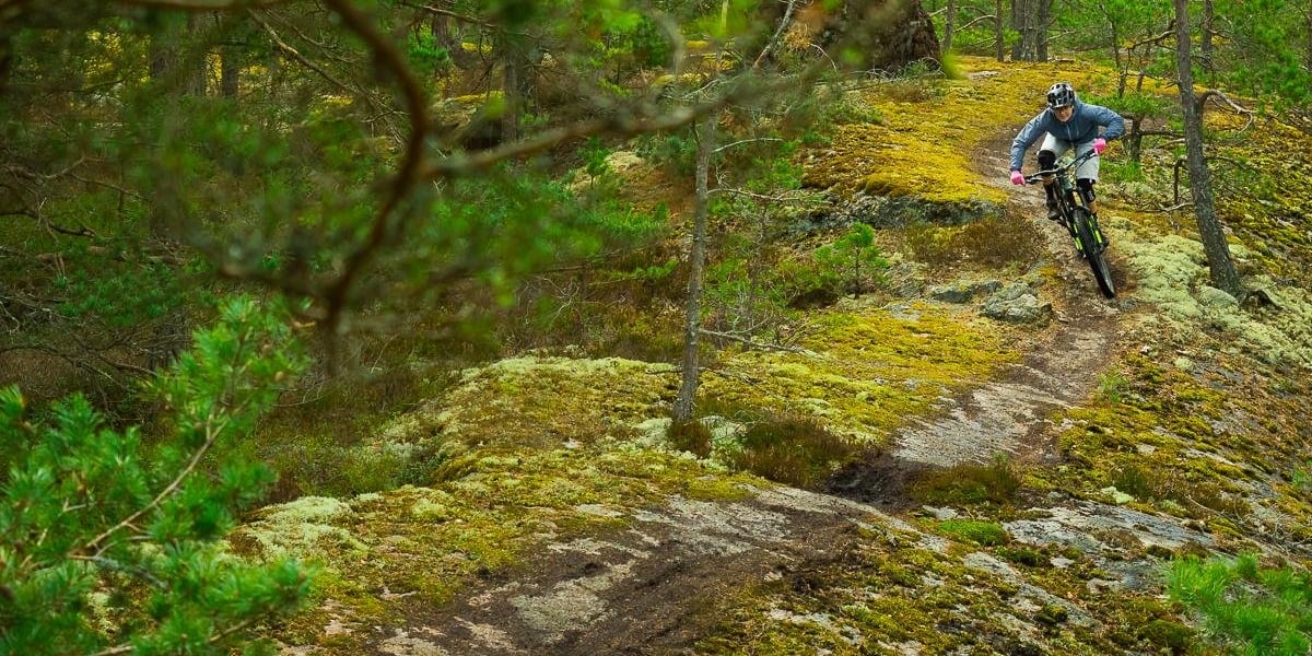 Mountain Biking Stockholm: Discover the best trails!
