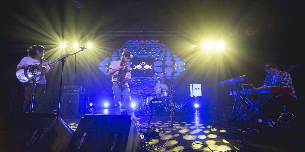 #10AñosFauna: Así celebra Fauna su primera década