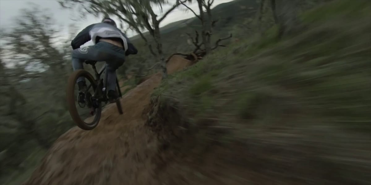 Moving Images - Rupert Walker