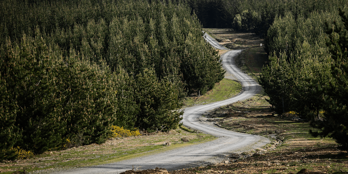 Conoce la Ruta del WRC Chile Biobío 2023