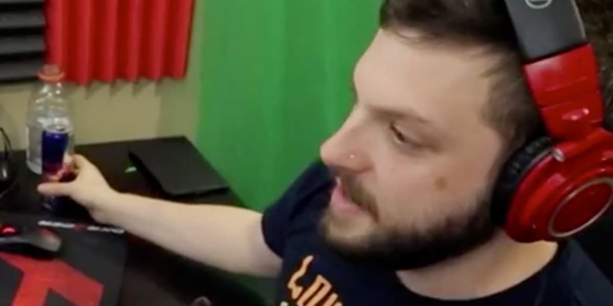 Dinosaur Streamer