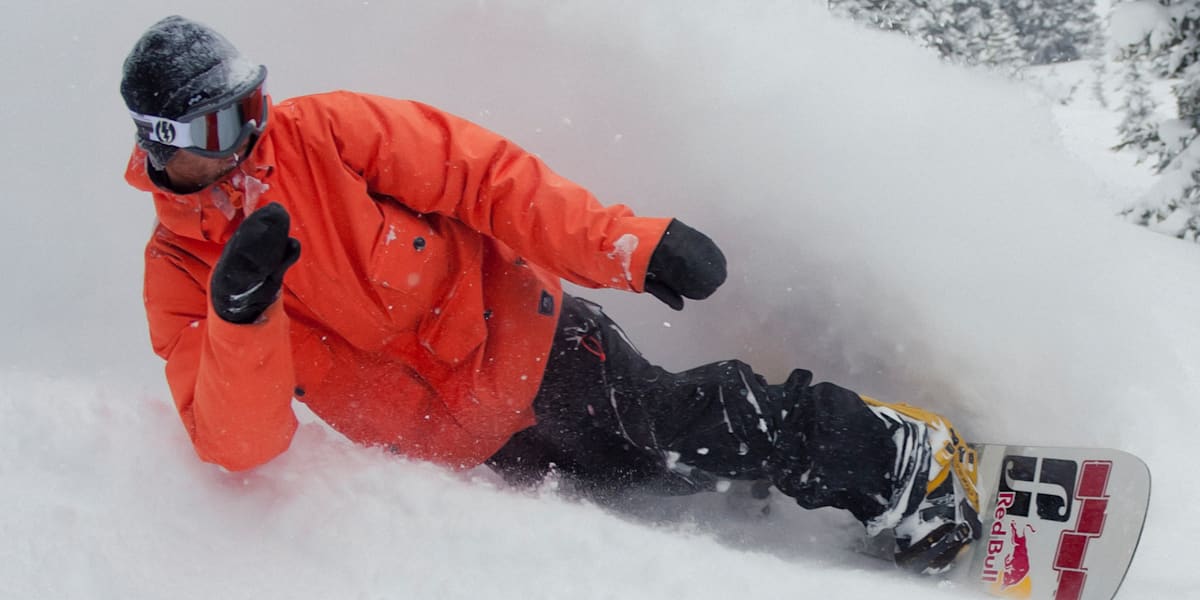 The Art of Flight (NL)