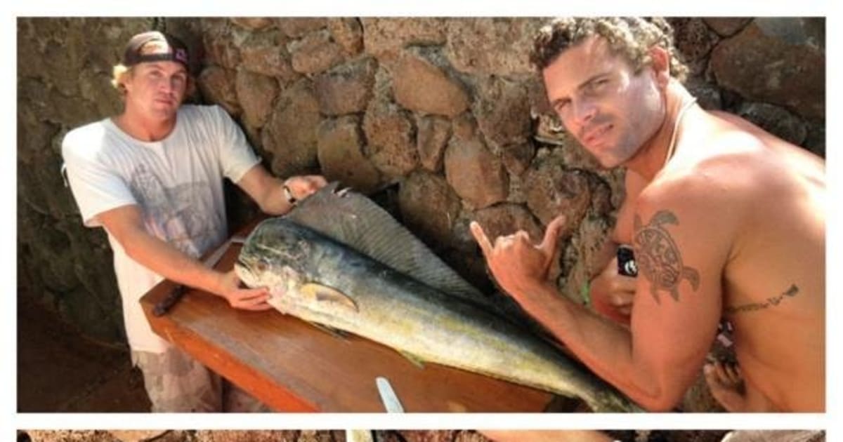 7 Days Worth Of Cool Stuff To Look At