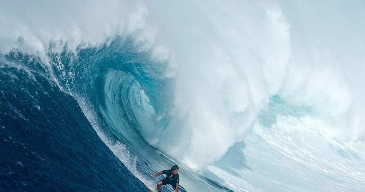 Le quiver du waterman moderne