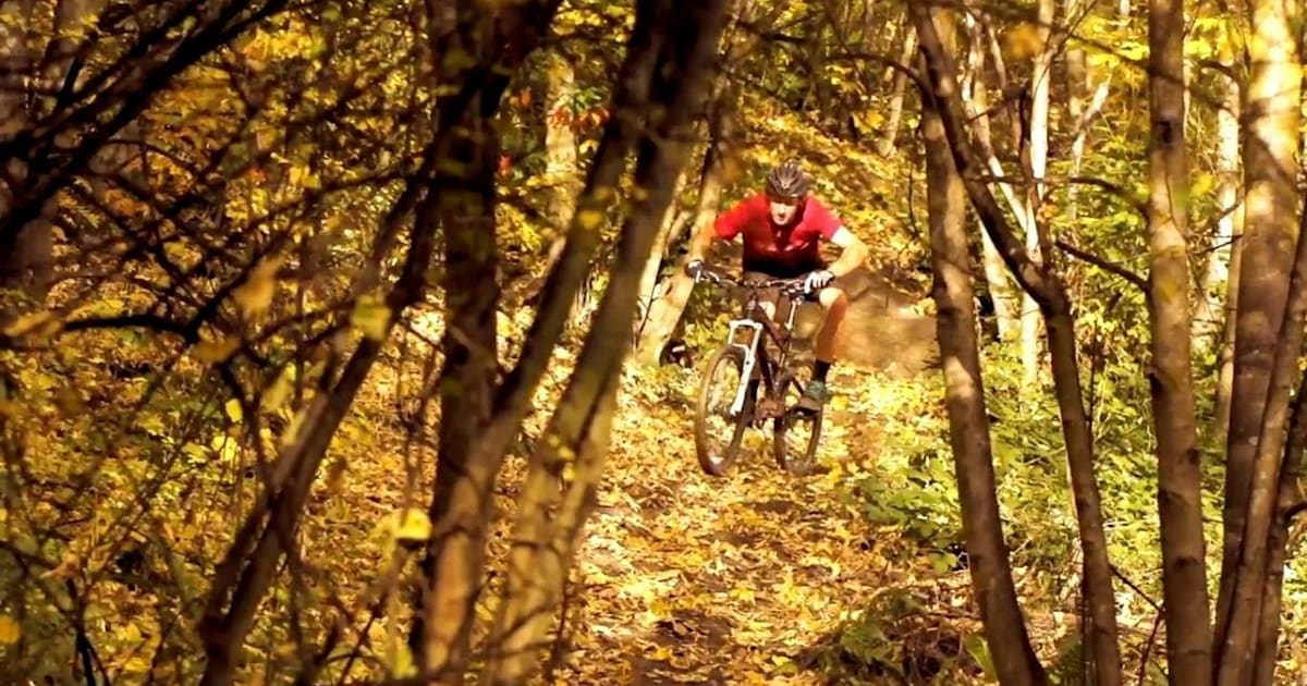 Into the Arrow with Conor Macfarlane