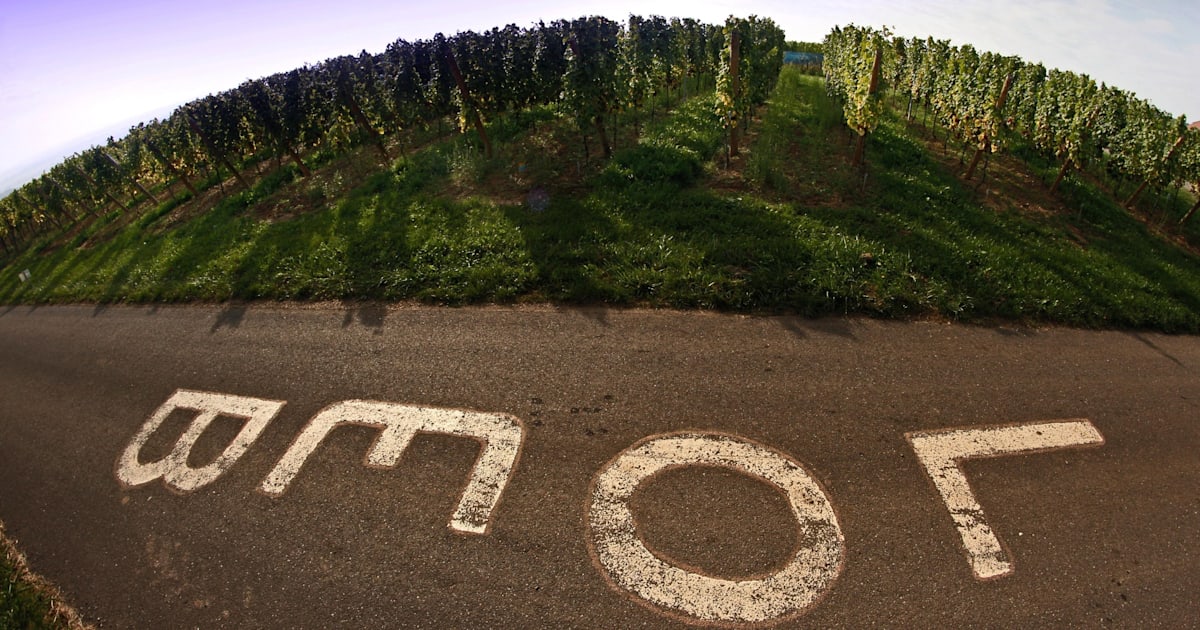 WRC France in review