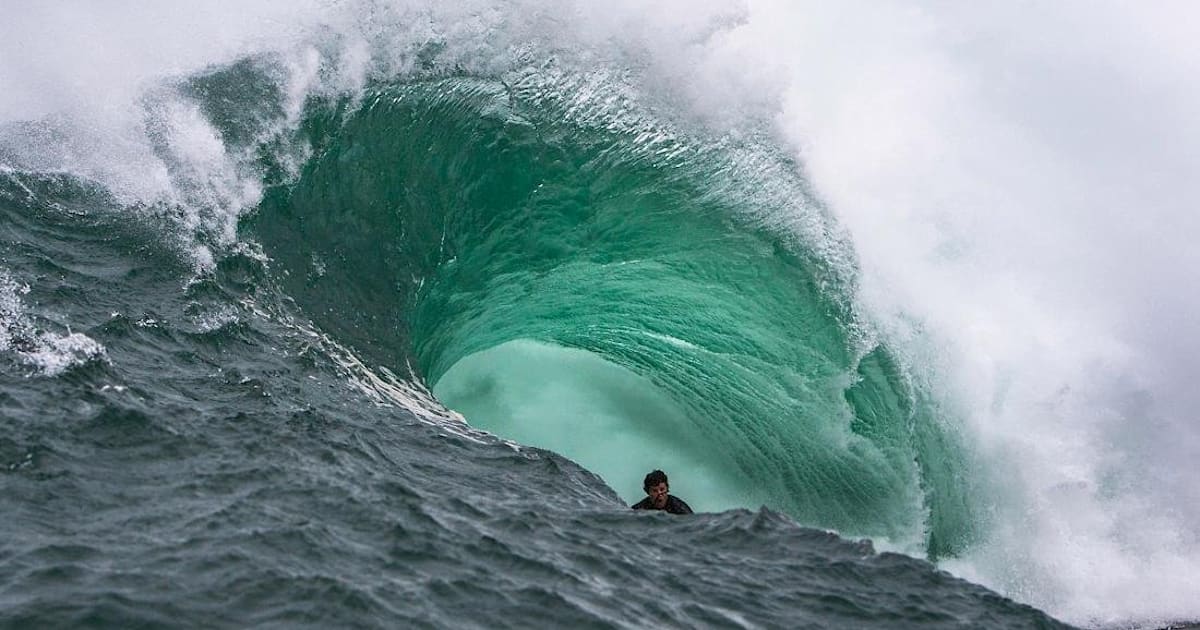 Los locales: Red Bull Cape Fear