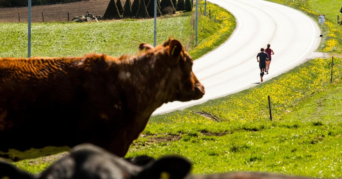 Running with pets is one of the best parts
