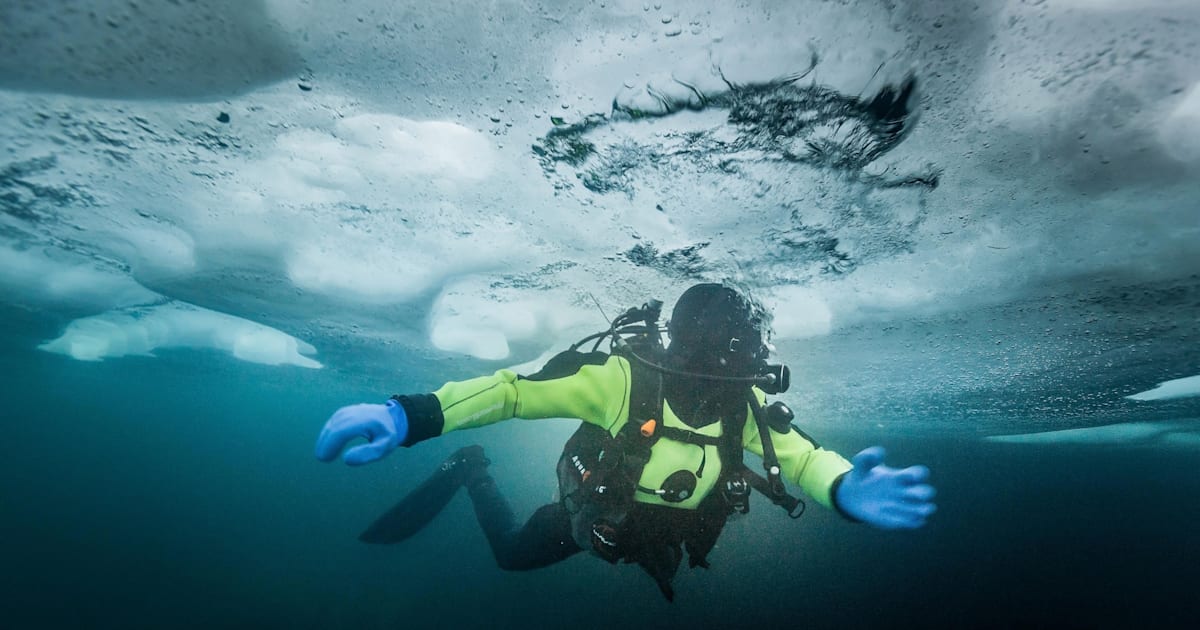Interview with Alban Michon, underwater Arctic explorer