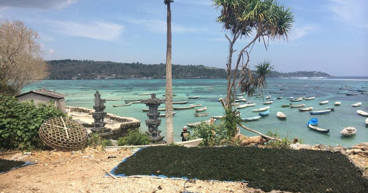 Nusa Lembongan saiba todas as dicas de viagem