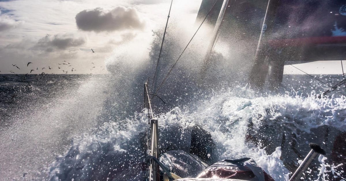 La naturaleza en sí misma: ¡navegar en alta mar!
