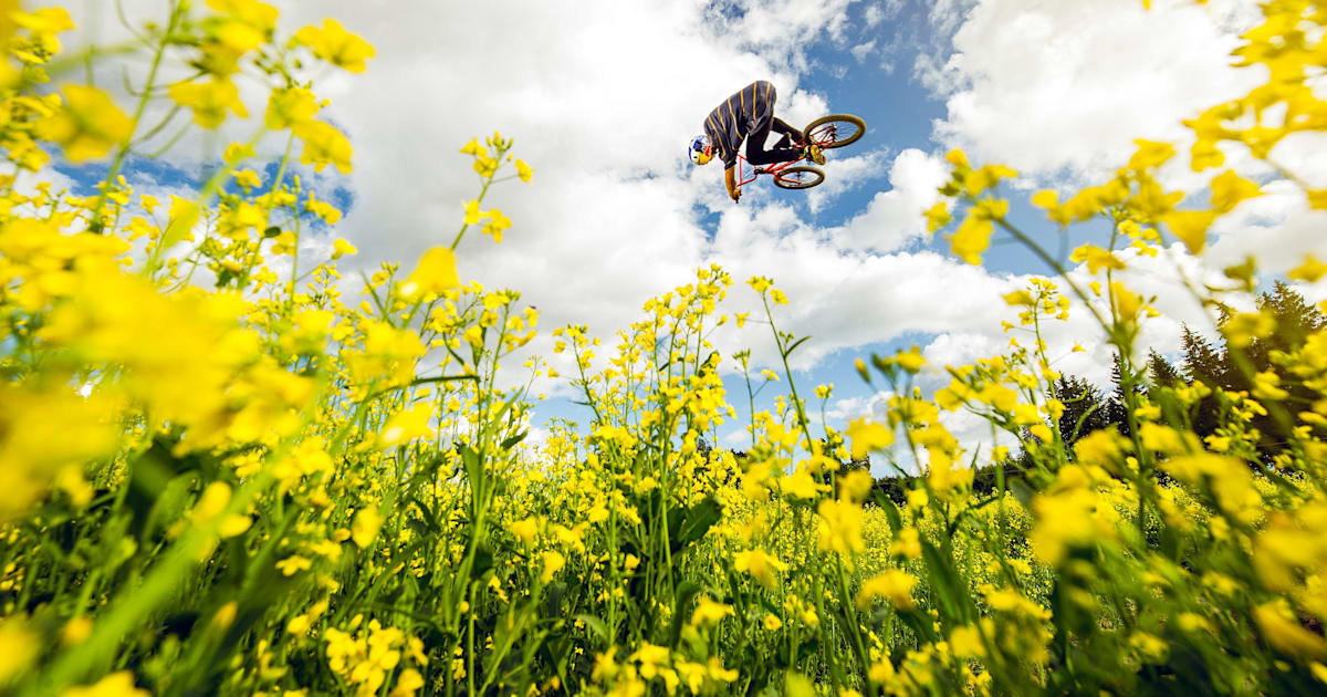 Field Tripping: Behind-The-Scenes Video