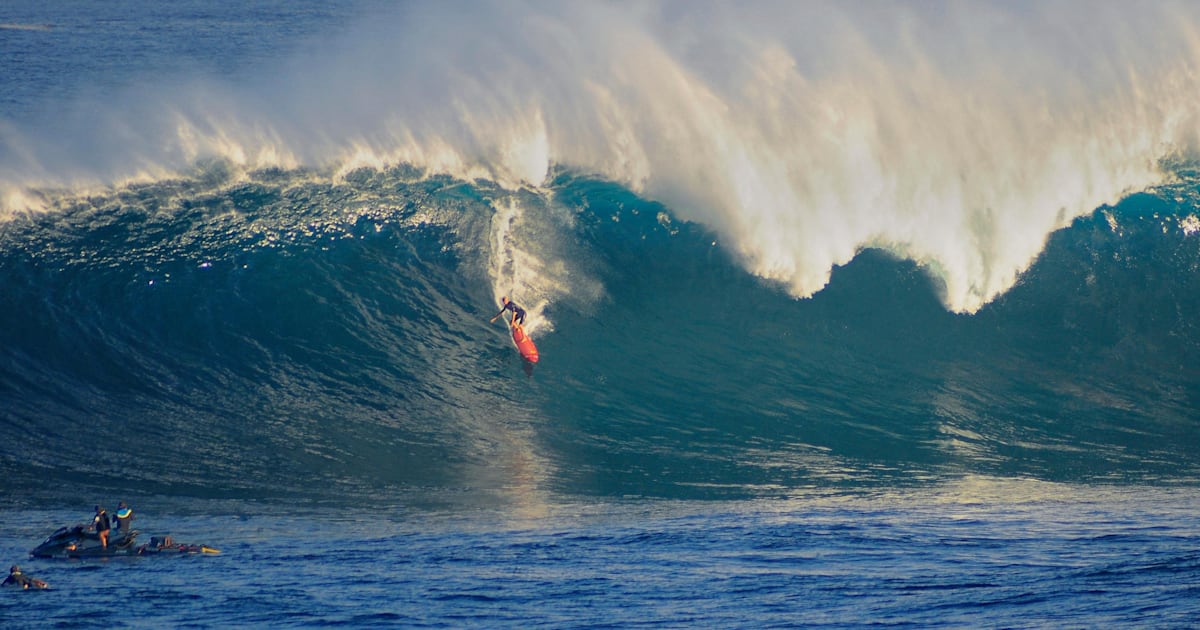 Coconut Willie: The world of pro sufer Will Hunt