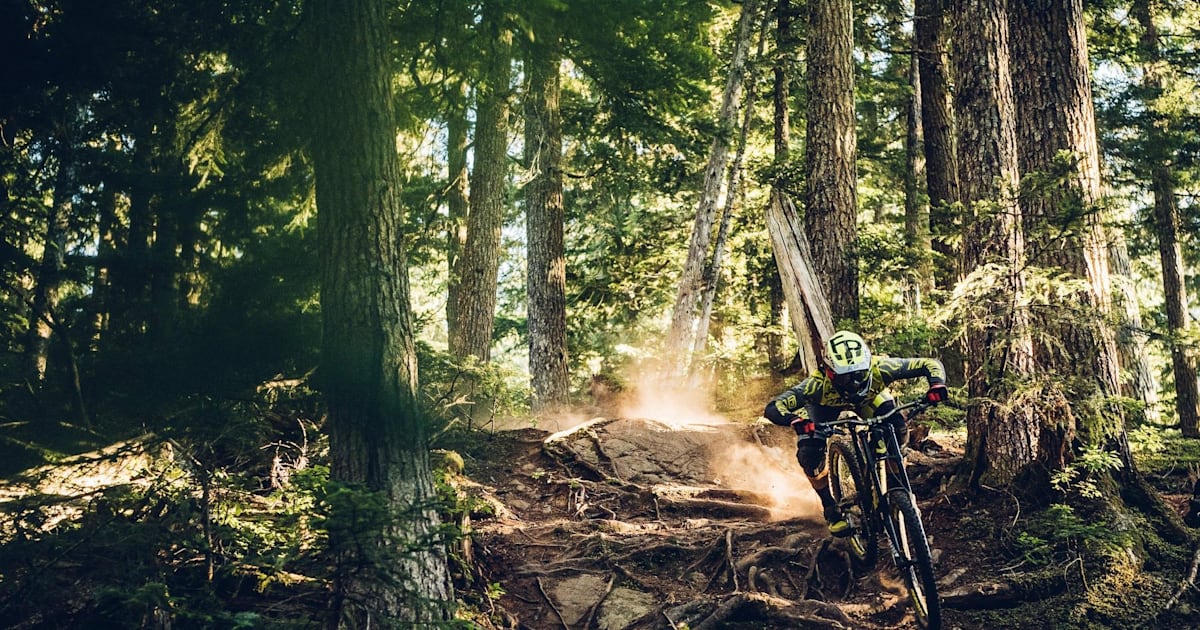 How to ride roots on your mountain bike: 5 top tips