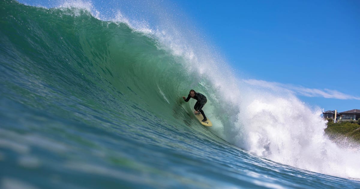 Board check: The Fish