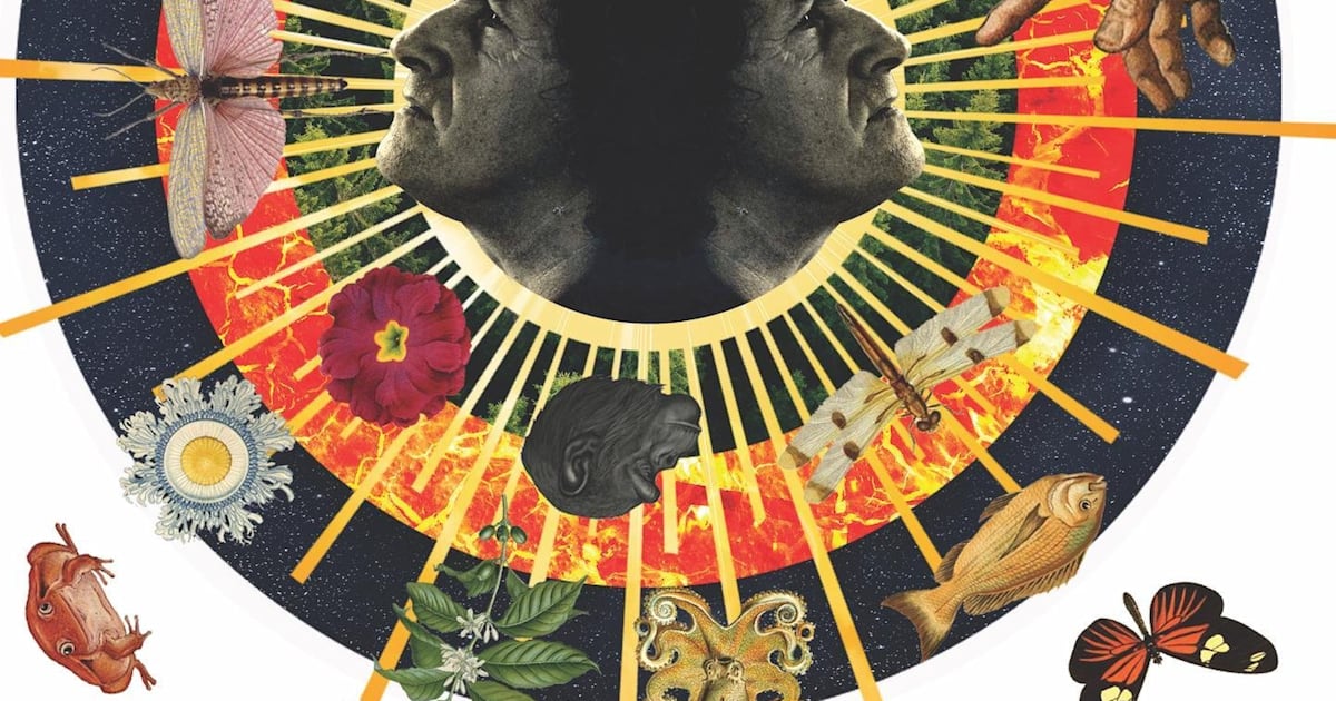 RBMSP: Krishnanda 50 anos