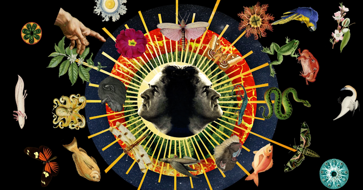 Krishnanda, uma Obra-Prima Renascida