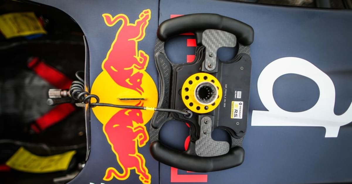 Red Bull Junior Team and Honda Formula Dream Project