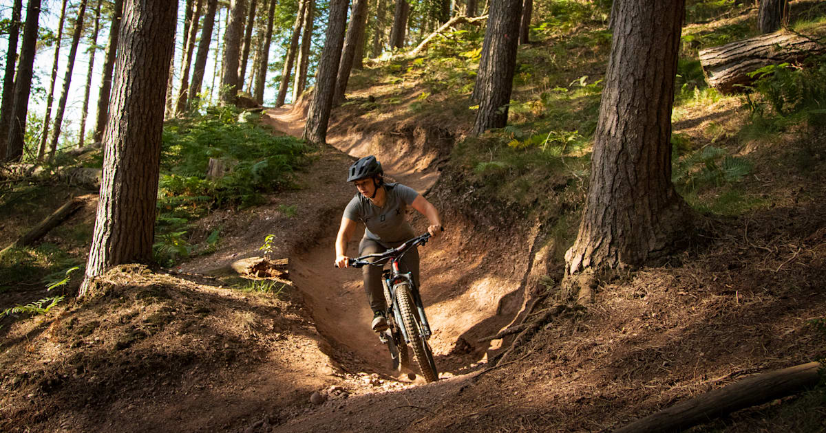 Cannock Chase – Guide: All you need to know