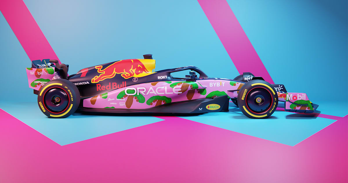 Our Most Creative Designs For Miami Bull 🦩