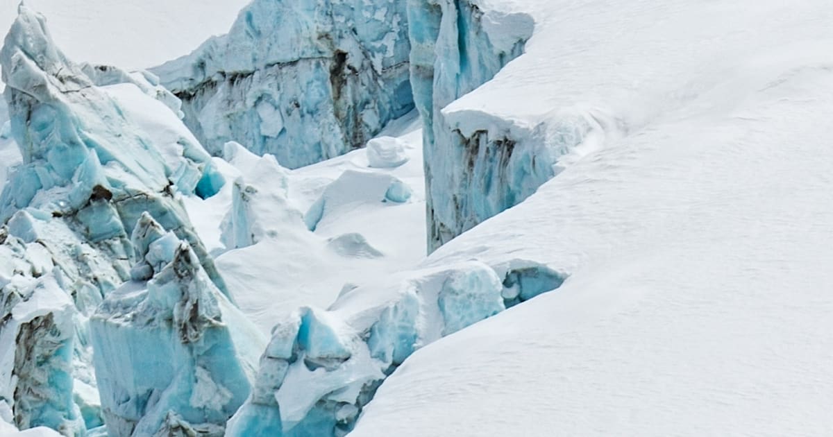 Shades of Winter: Die leuchtende Zukunft des Freeskiing