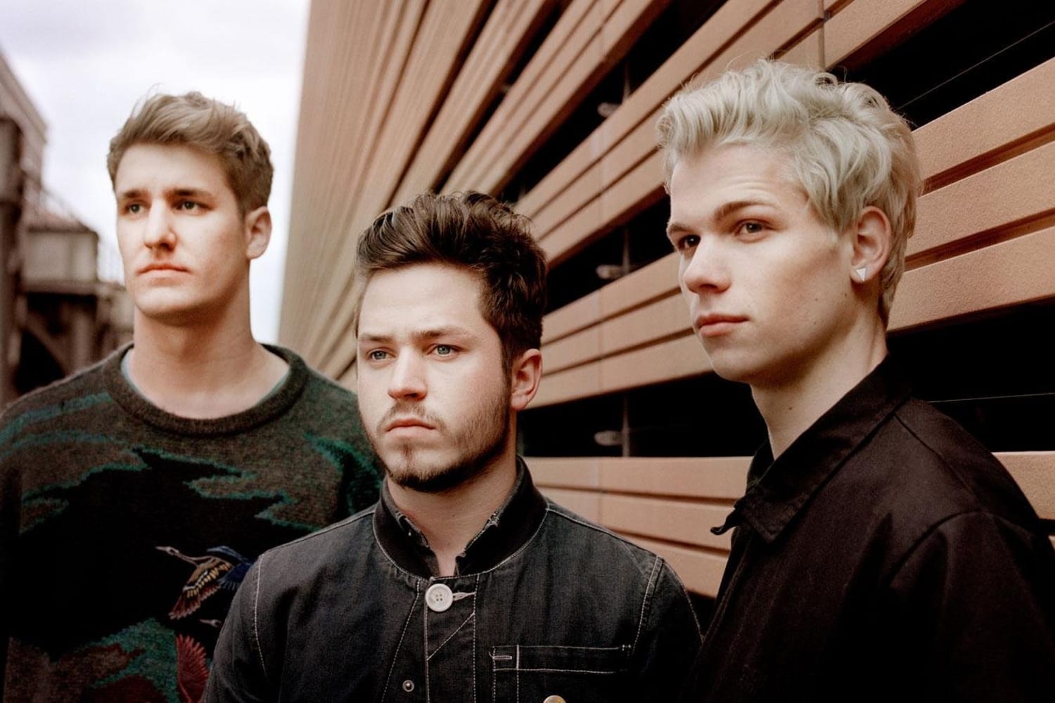 The Rise And Rise Of Sizarr