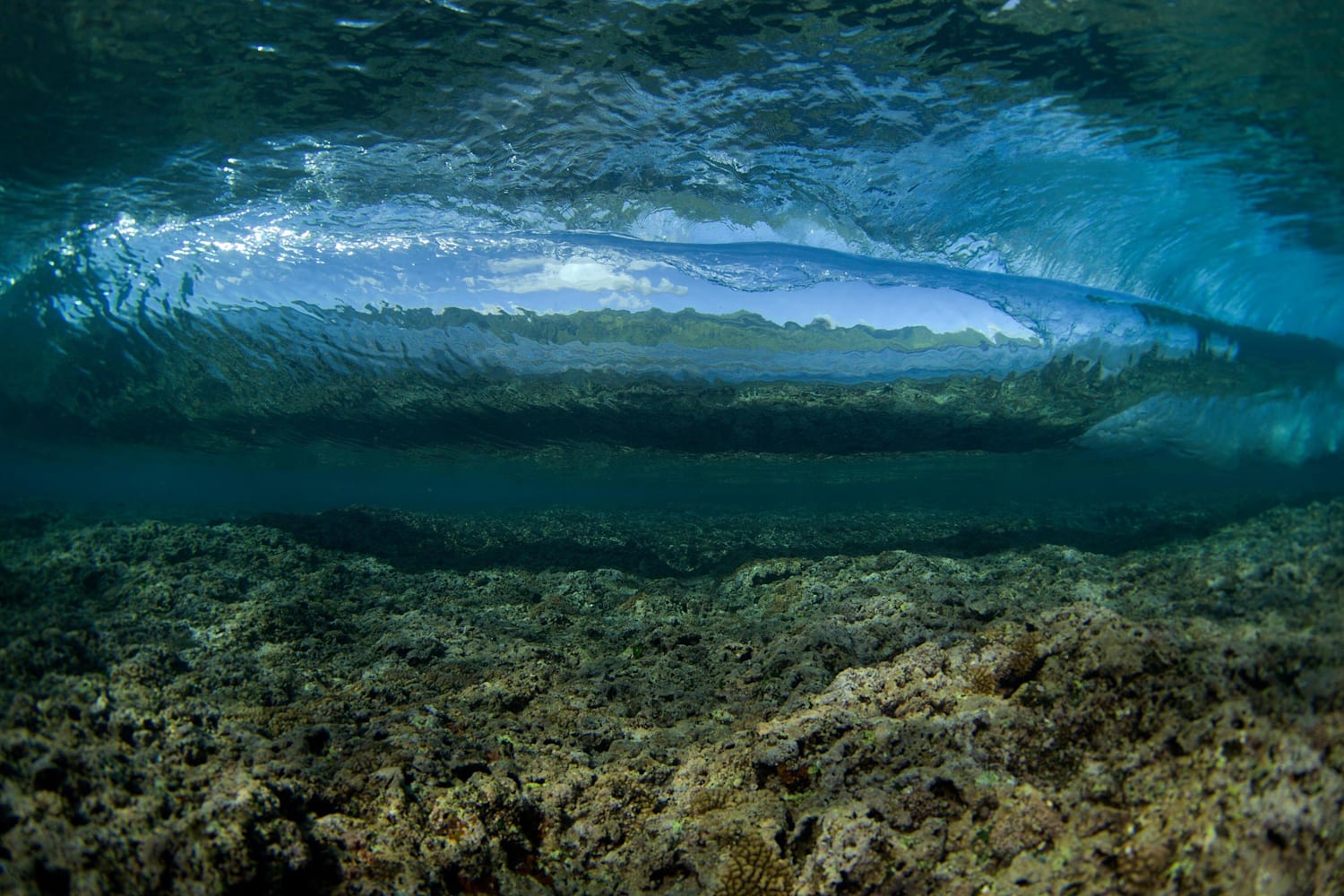Photos: The Great Tahitian Lay Day