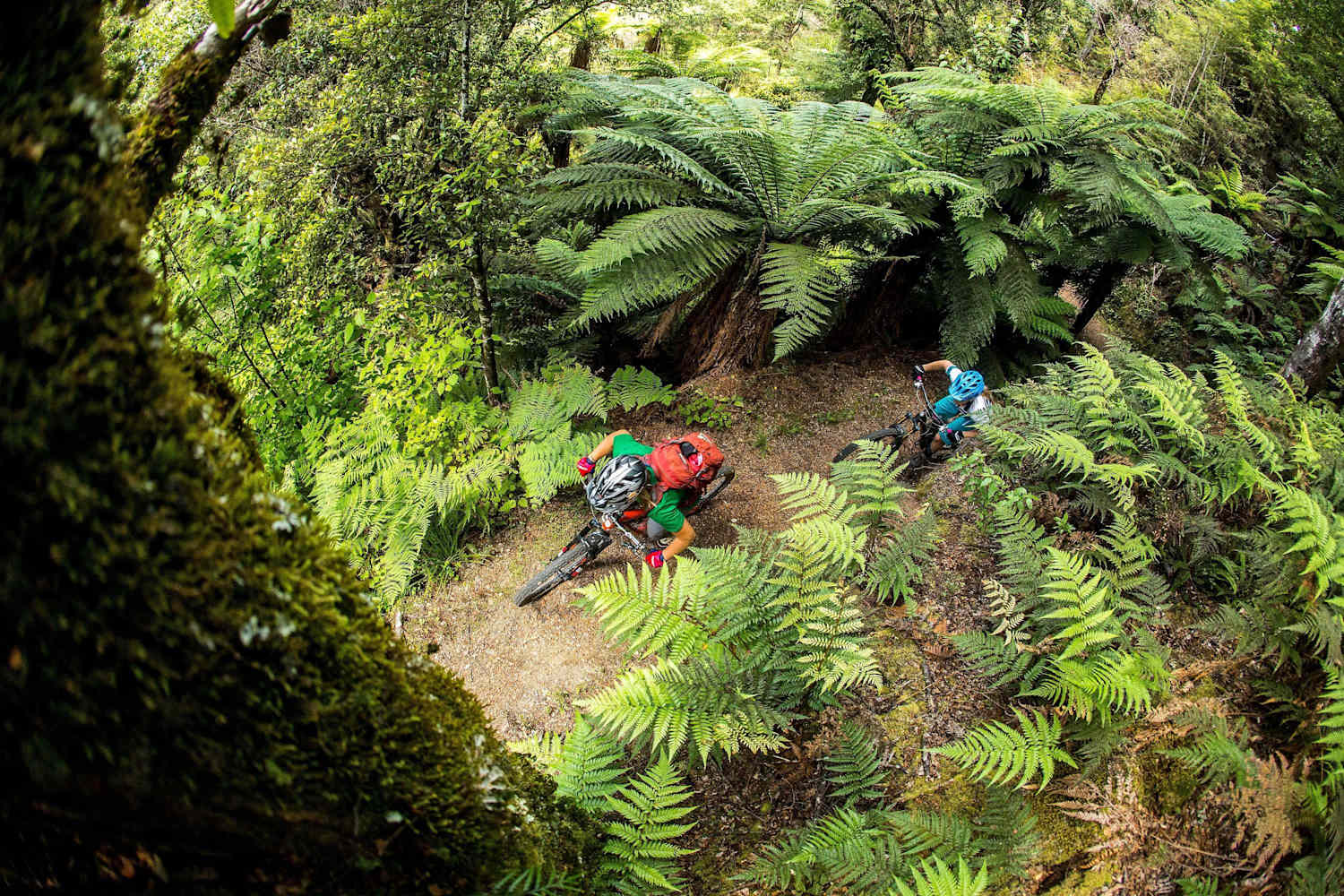 Sven Martin: MTB meets Jurassic Park | Red Bull Bike