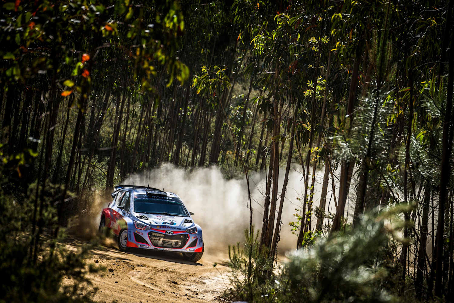 Rally de Portugal 2015: las mejores fotos