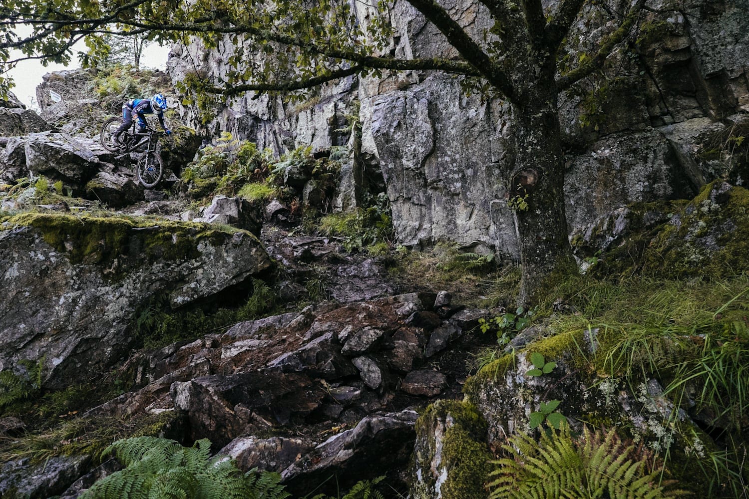 Red Bull Hardline 2015 photo gallery