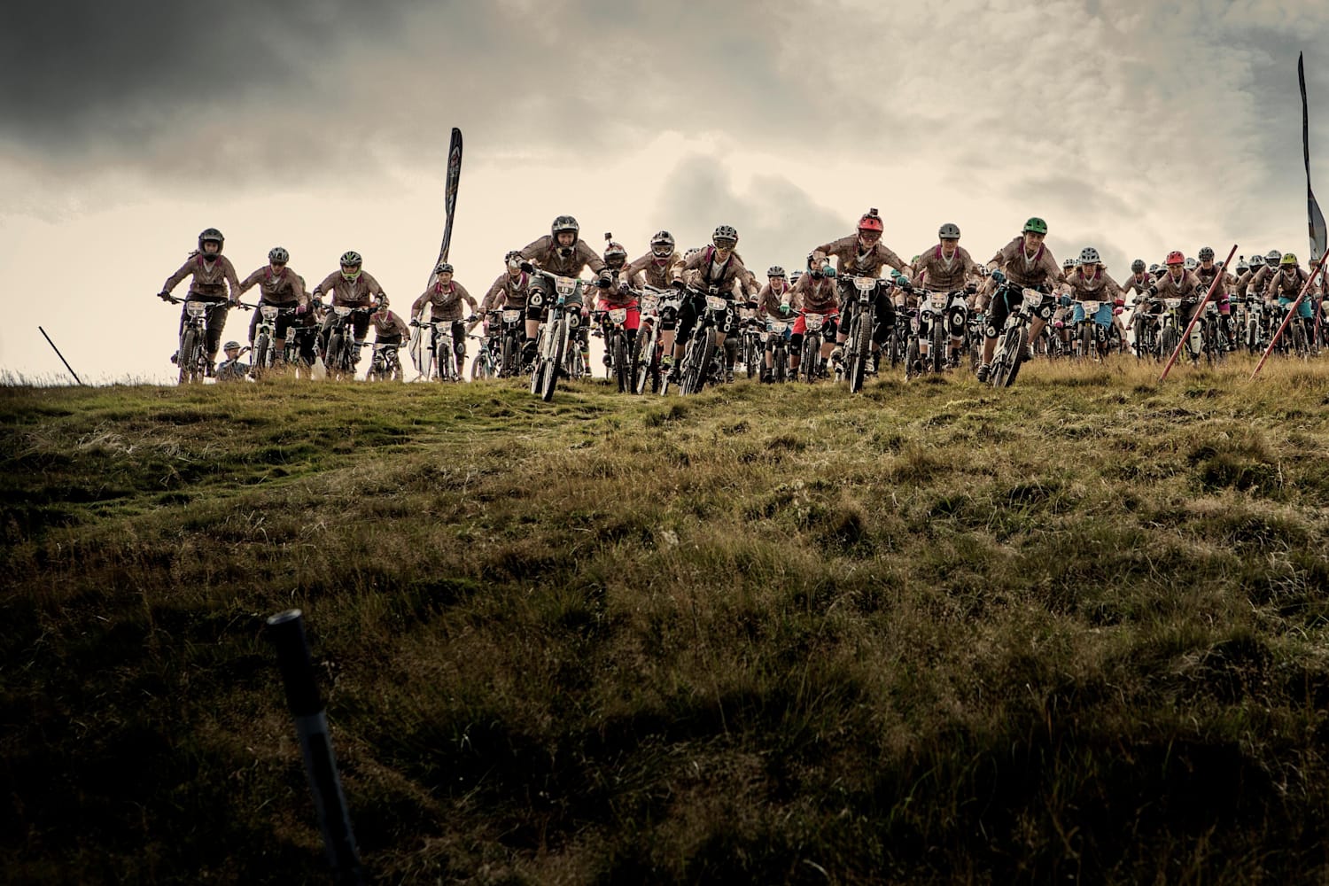 Red Bull Foxhunt: Everything you need to know