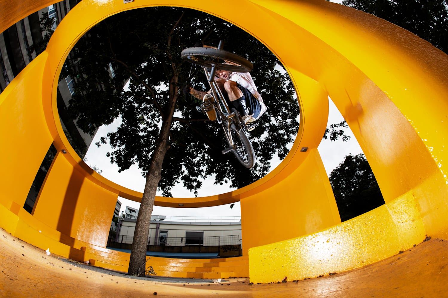 Kriss Kyle: Watch the BMX wallrides trip *video*