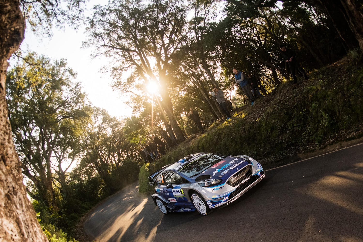 Kriskras over Corsica crossen met het WRC