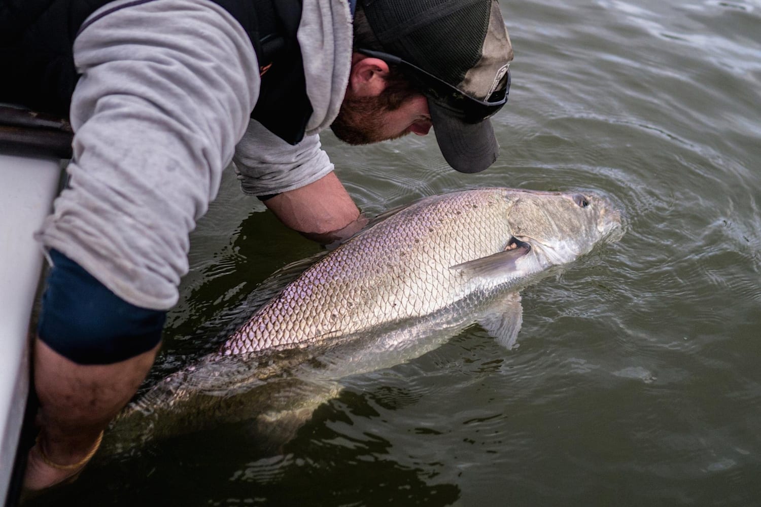 How I got my job: The Fish Scientist