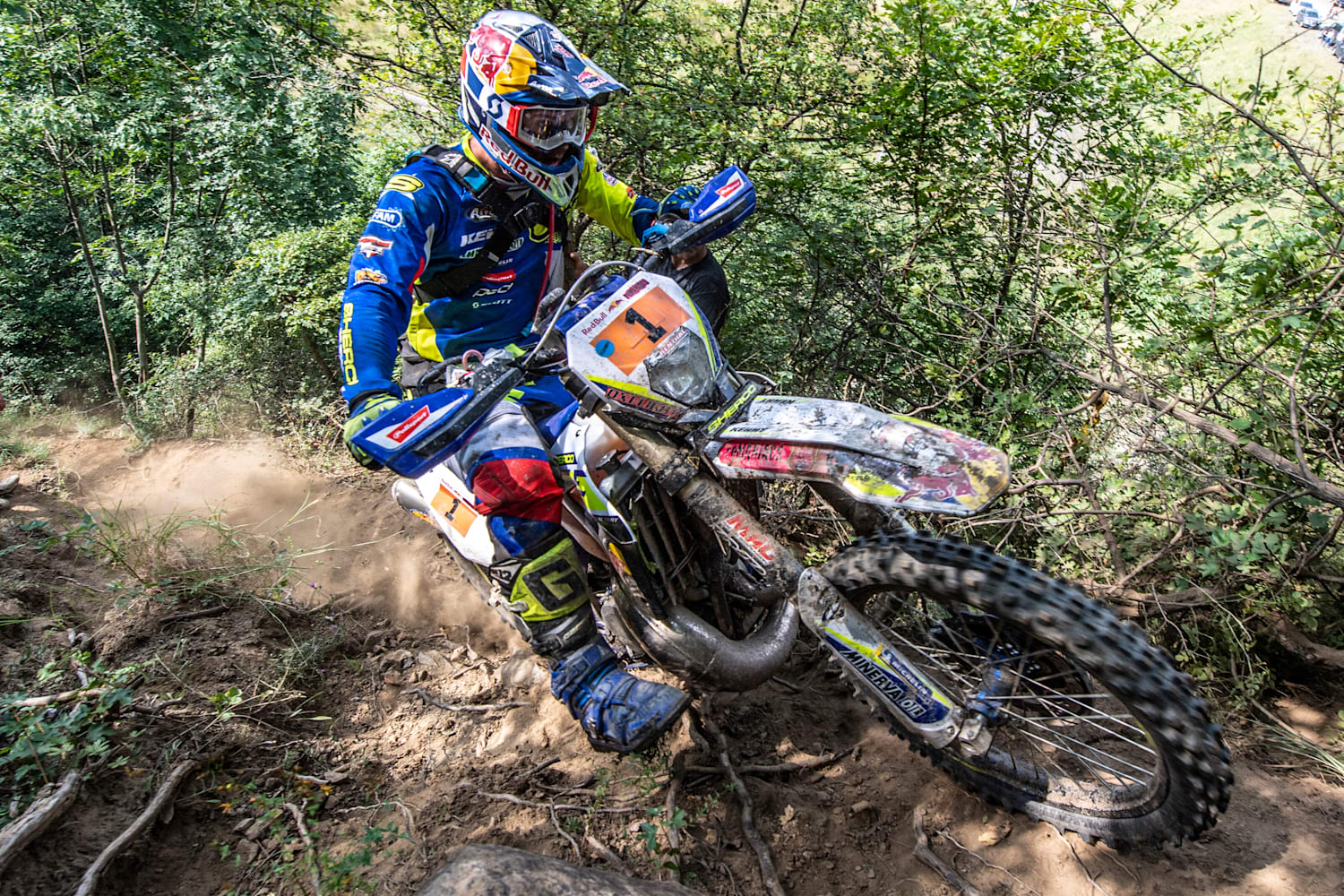 Wade Young wins Roof of Africa 2019