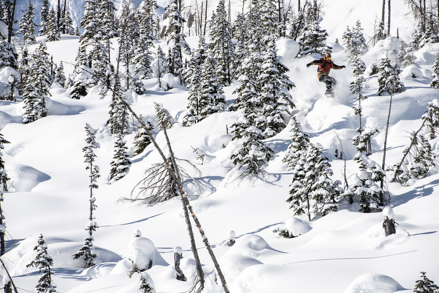 Travis Rice i Selekcja Naturalna - informacje o cyklu