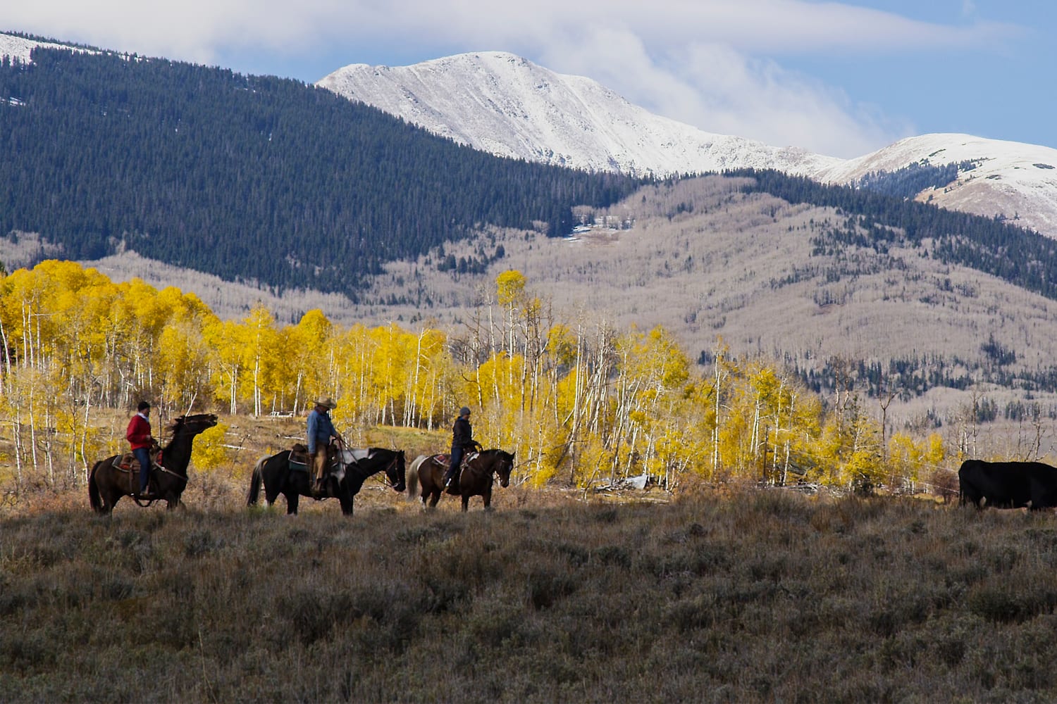 Buffalo Soldiers S1 E4: Visiting Red Bull Rampage
