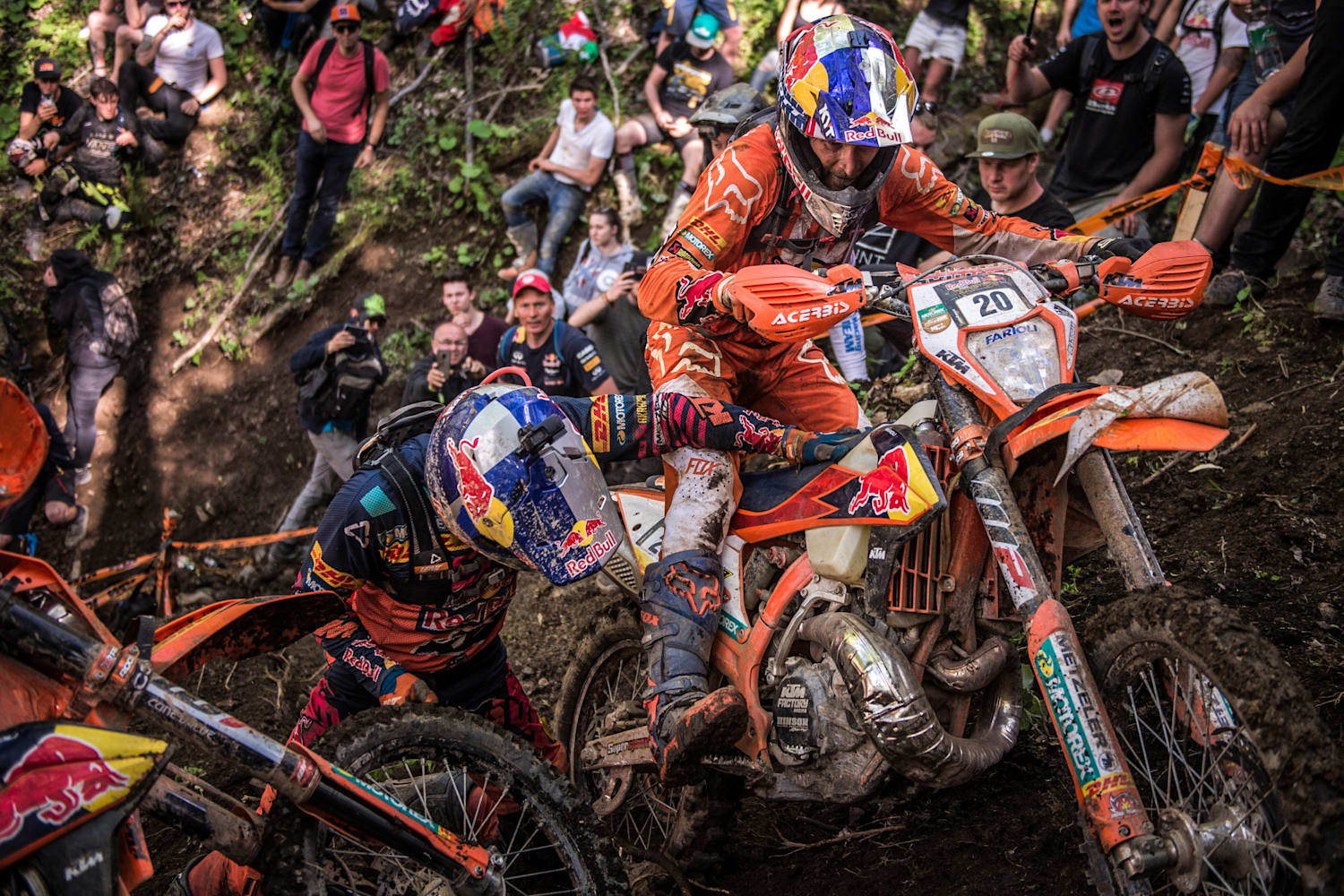 Red Bull Hare Scramble 2019 event recap – video